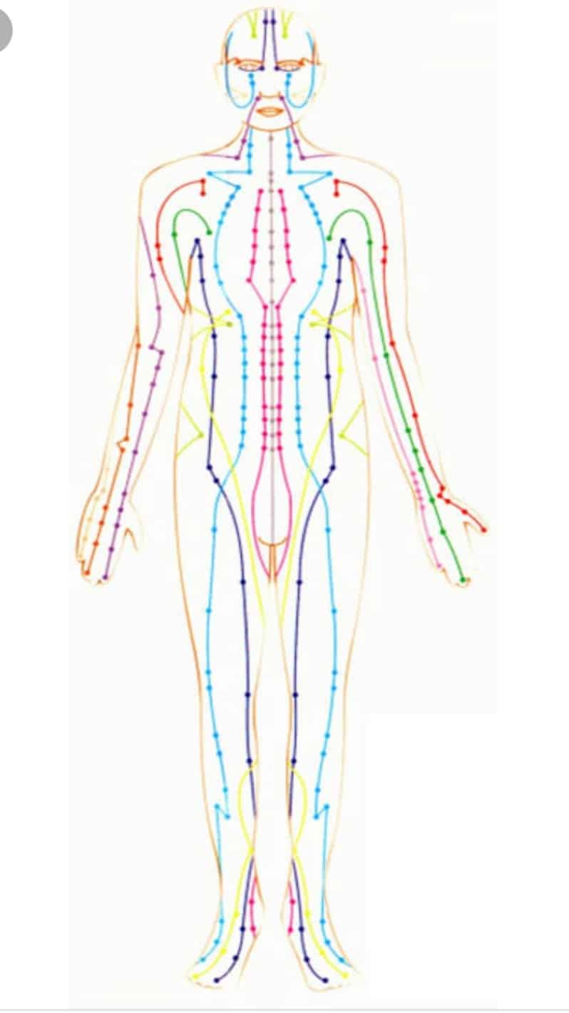 Lo Shiatsu e i meridiani energetici | Studio Star Meglio Parma ...